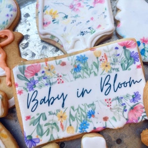 Baby in Bloom Cookies - Etsy