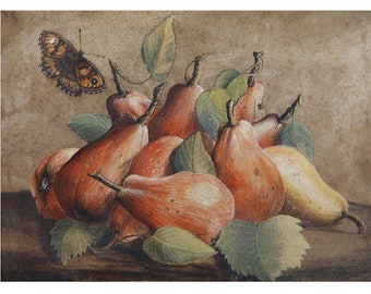 Still Life Butterfly - Etsy