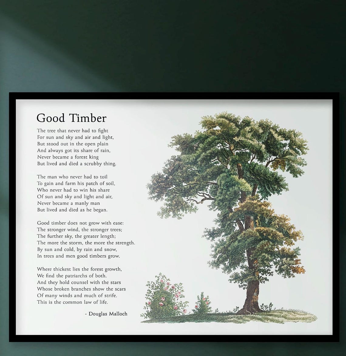 Good Timber Poem Print: Inspirational Tree Art, Douglas Malloch - Etsy