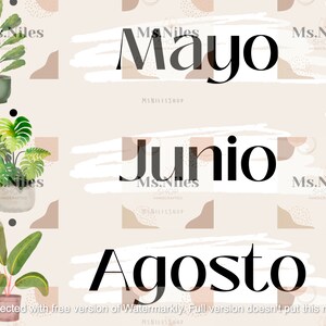 Spanish Boho Plant Flip Calendar | Spanish Classroom Calendar ...