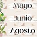 Spanish Boho Plant Flip Calendar Spanish Classroom Calendar - Etsy