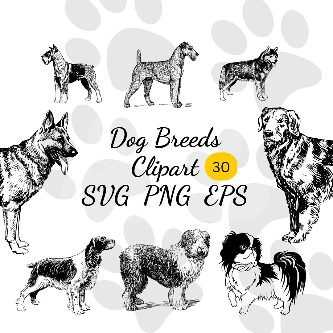 Dog Breeds Svg, Clipart, Dogs by Breed, Dog Clipart, Dogs, Cricut ...