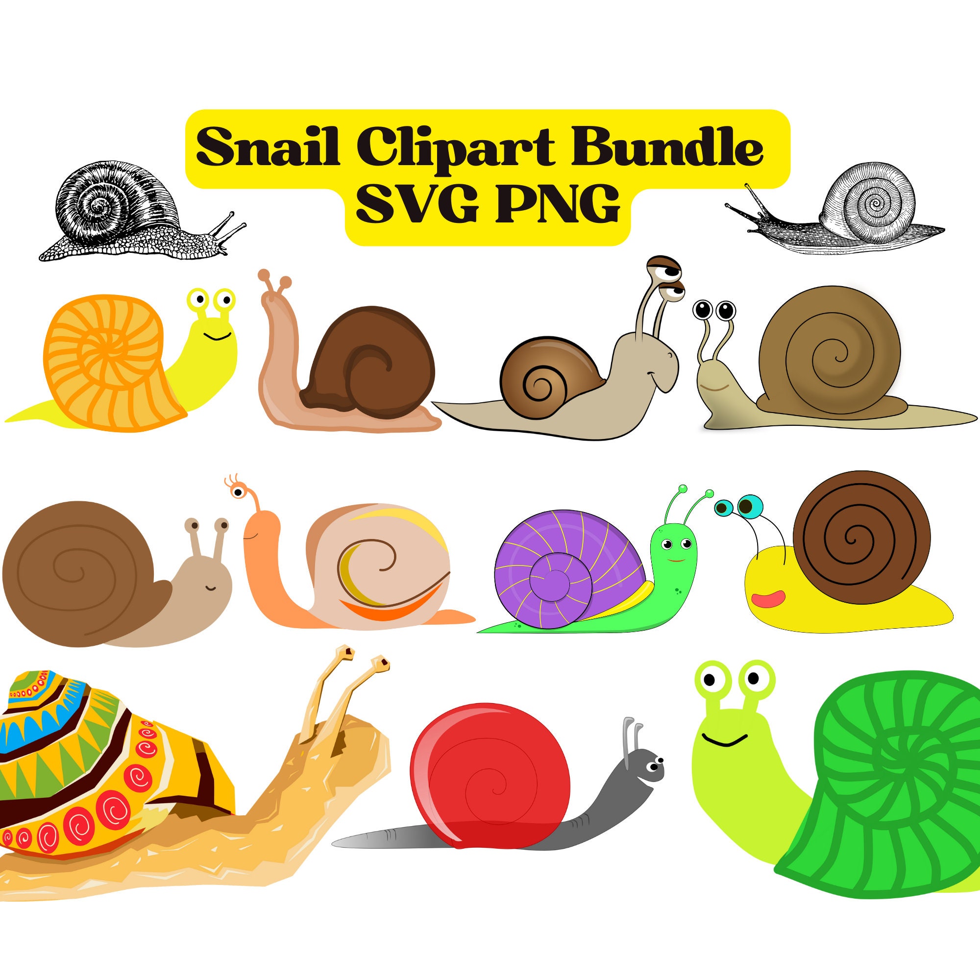 Free Snail Clip Art