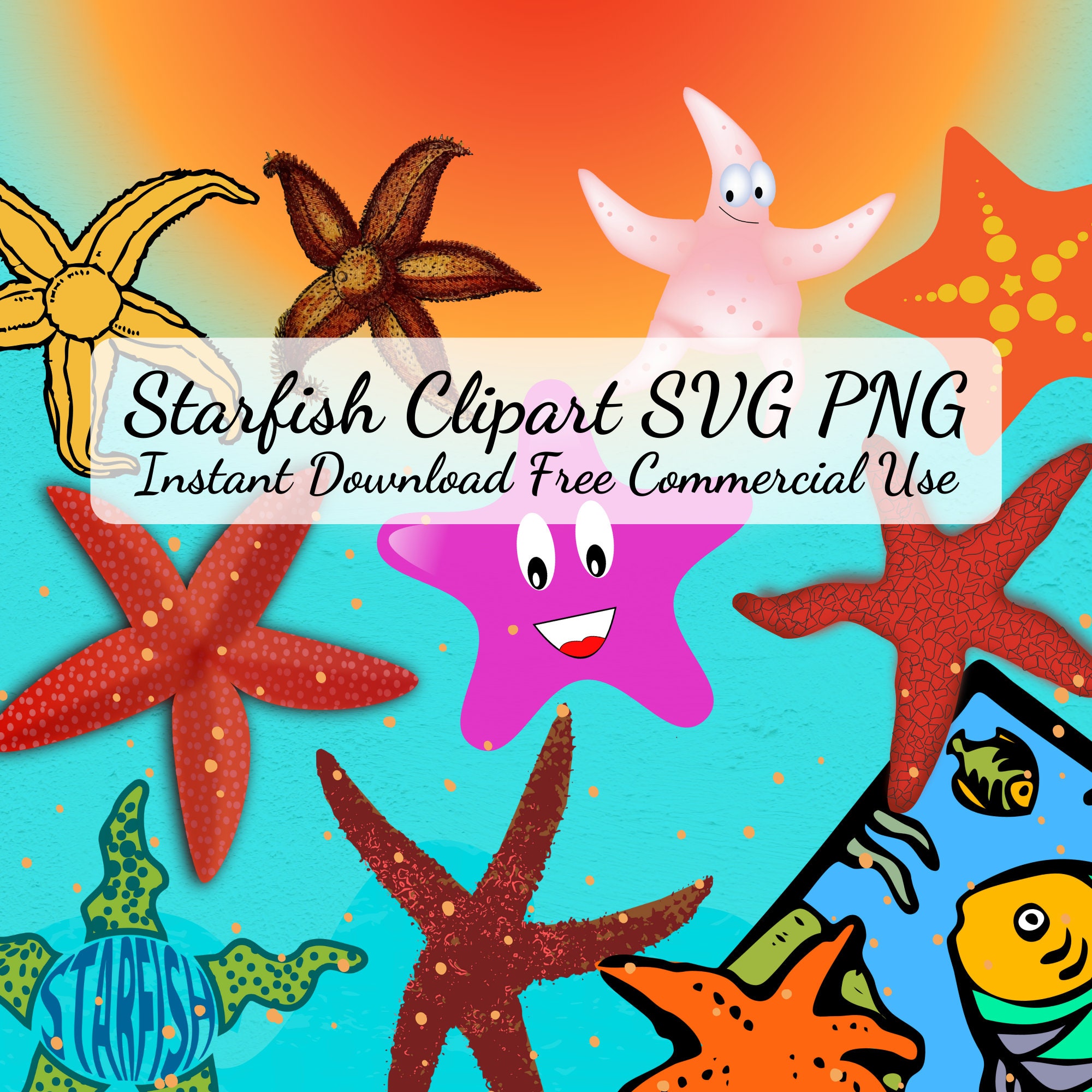 Green Starfish Clipart Image