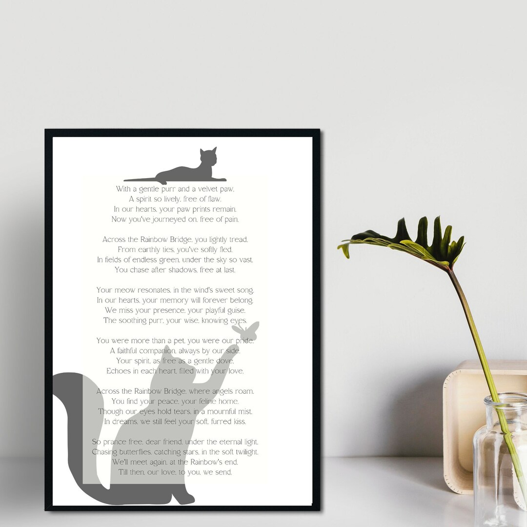 Bereavement Poem for Beloved Cat, Rainbow Bridge Poem for Cat, Loss of ...