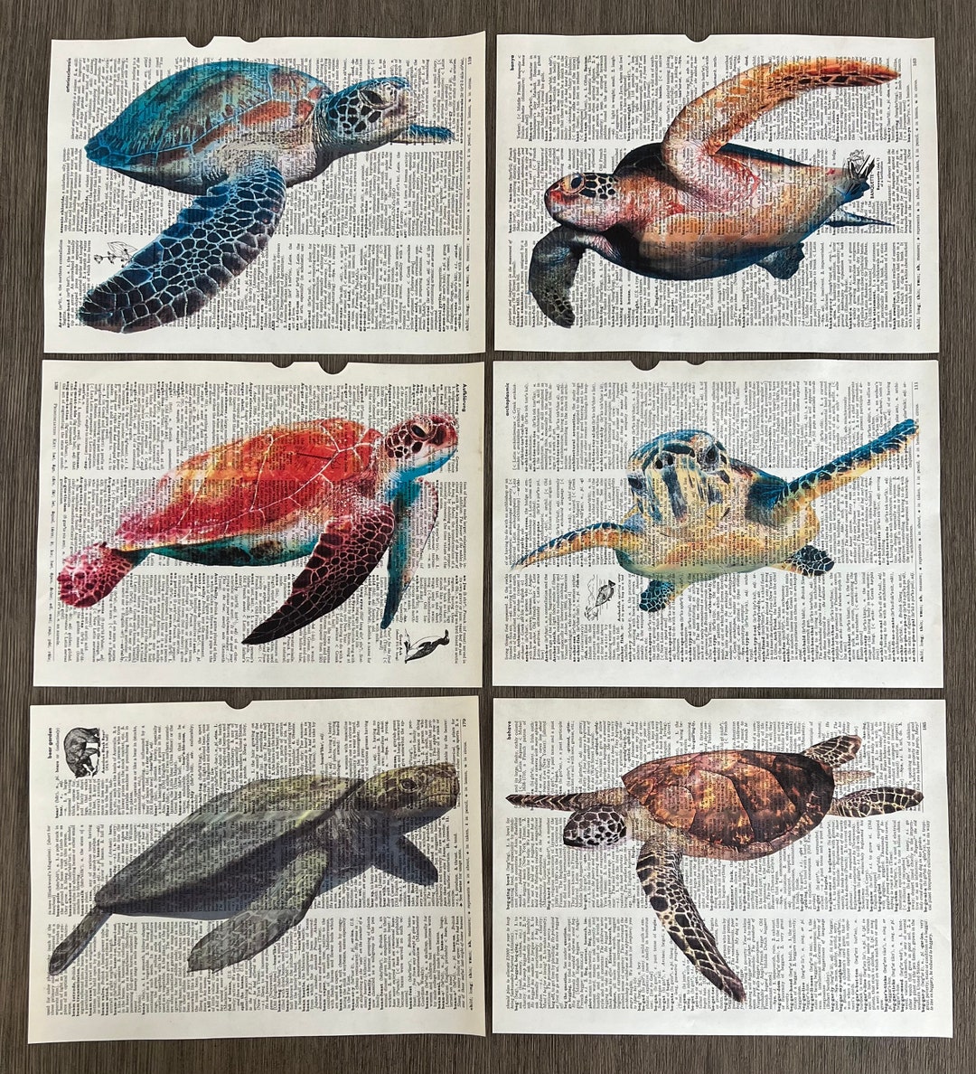 Sea Turtle Themed Dictionary Art Prints Set of 6 - Etsy