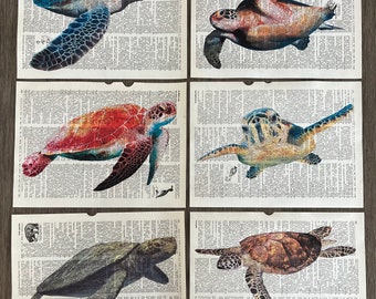 Sea Turtle Dictionary Art - Etsy