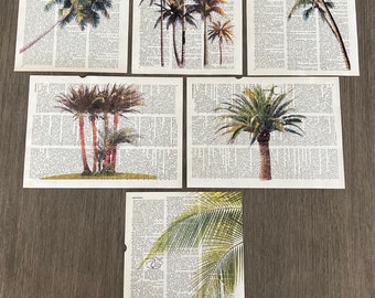 Palm Tree Theme - Etsy