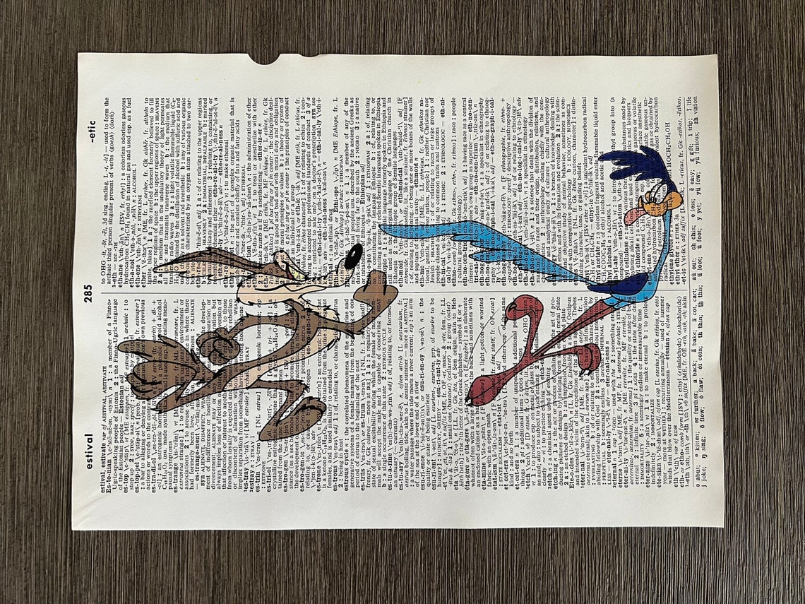 Looney Tunes Road Runner and Wile E. Coyote Themed Dictionary - Etsy