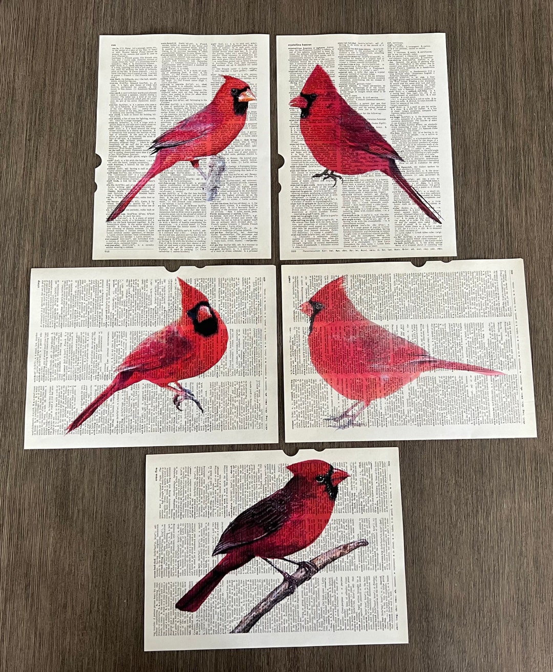 Bird cardinal Themed Dictionary Prints - Etsy