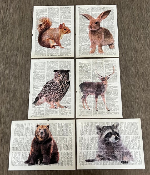 Woodland Animal Themed Dictionary Prints - Etsy