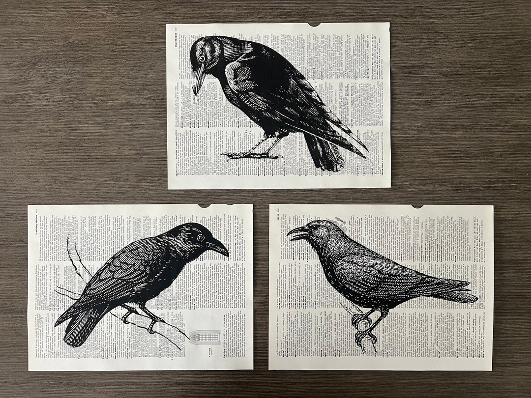 Raven/crow Themed Dictionary Prints Set of 3 - Etsy