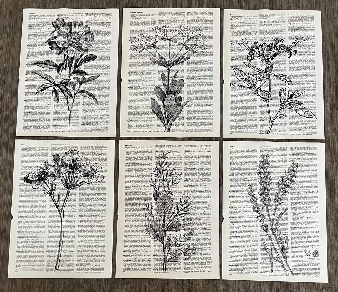 Flower Themed Dictionary Art Prints Set of 6 - Etsy