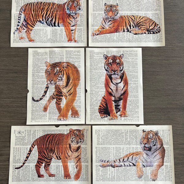 Dictionary Drawing - Etsy