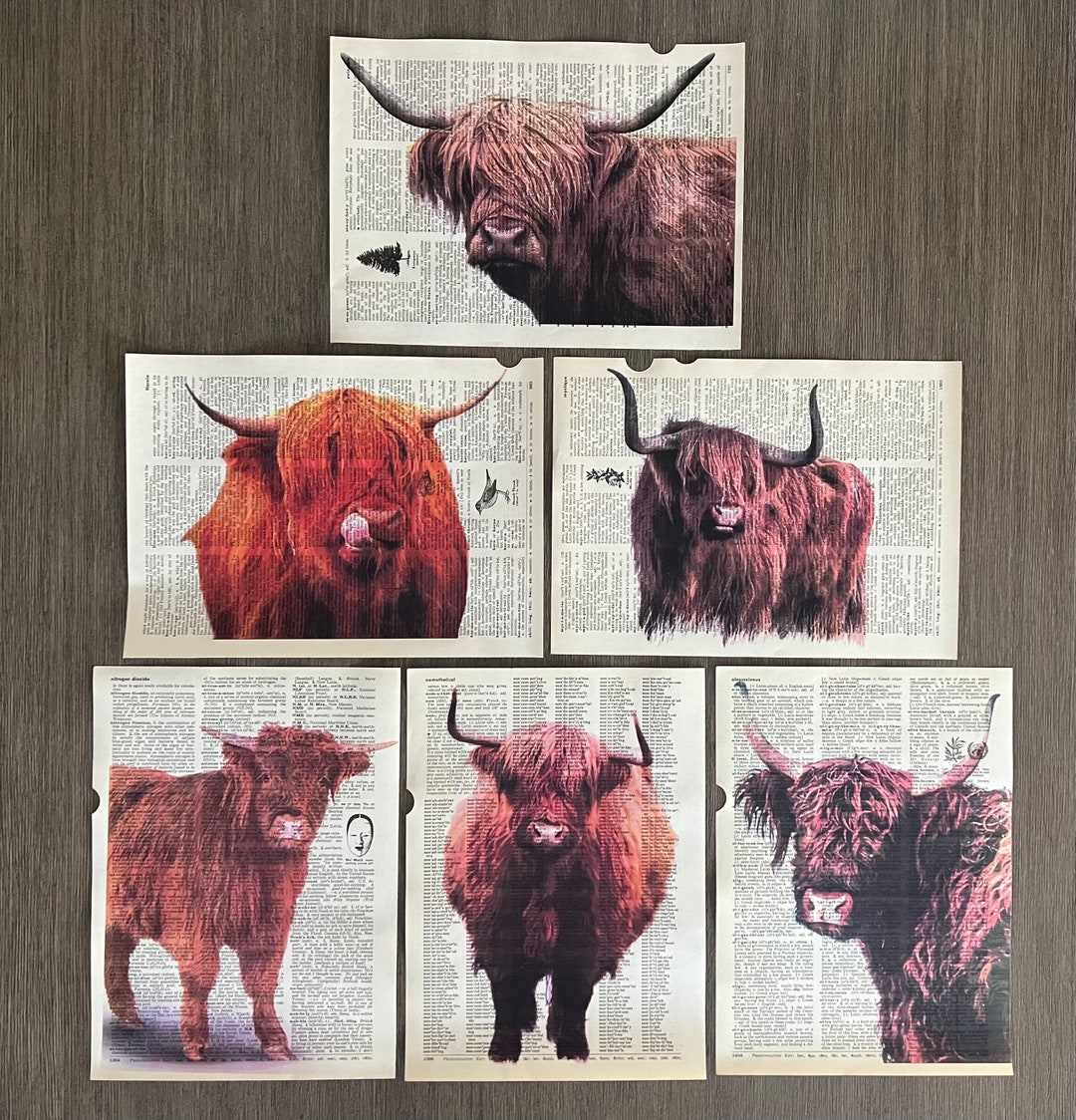 Highland Cow Themed Dictionary Prints - Etsy