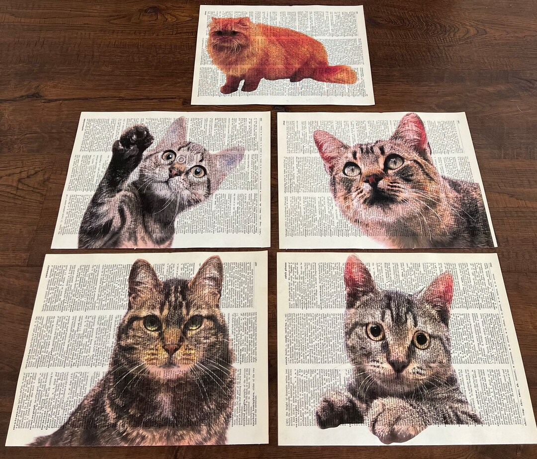 Cat Themed Dictionary Prints - Etsy Australia