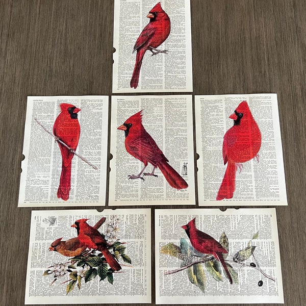 Cardinal Art Print - Etsy