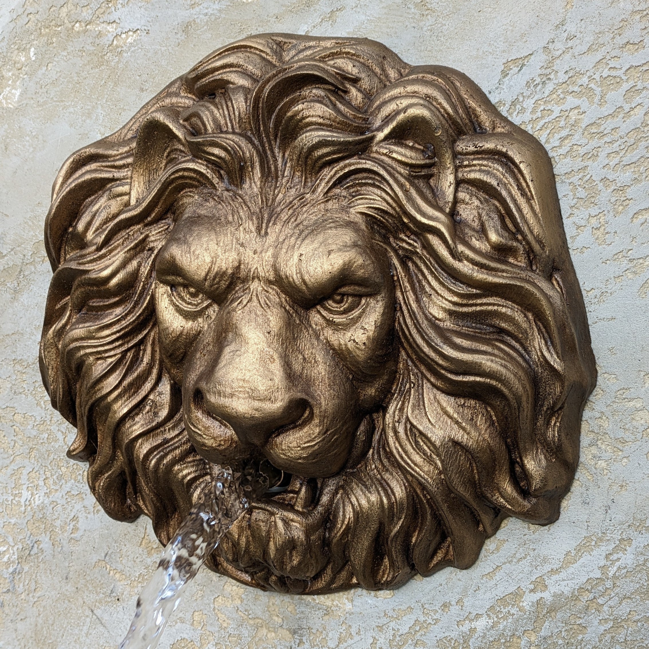 Lion Head Wall Fountain for Pool Design Lion Head Water Spitter Lion ...