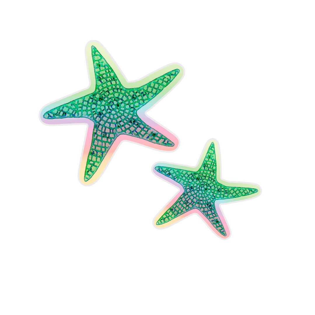 Holographic Starfish Stickers for Water Bottles, Laptops, Tackle Boxes ...