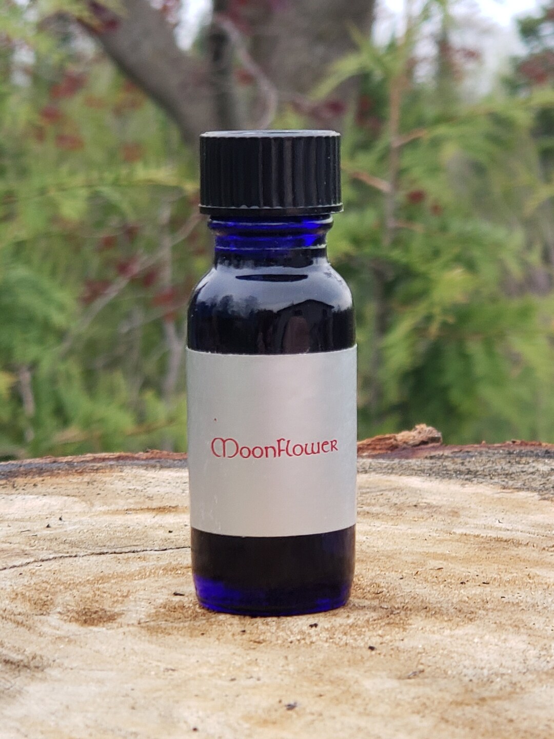 Moonflower Oil Blend Perfume Scent - Etsy
