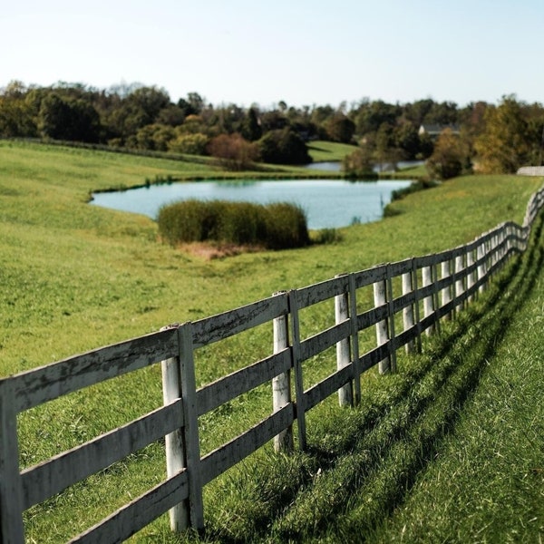 Country Fences - Etsy