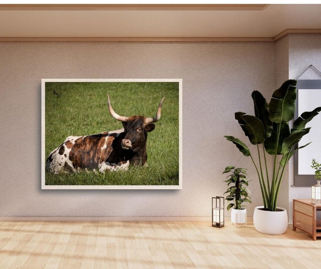 Brindle Horned Steer, Horned Cow Photo, Farmhouse Decor, Country Wall ...