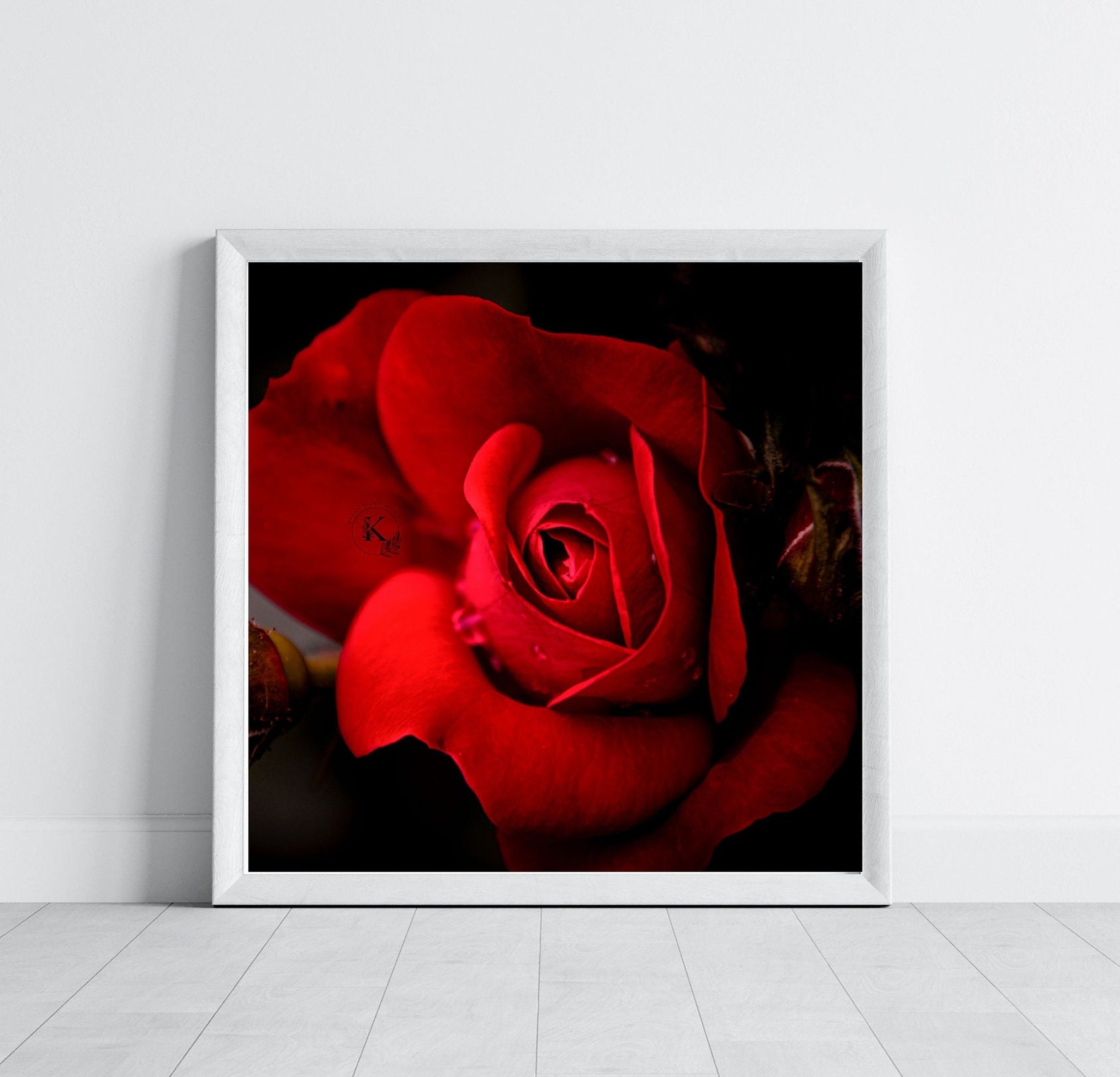 Red Rose Square Print, Vibrant Red Rose, Red Rose With Dew, Macro Rose ...
