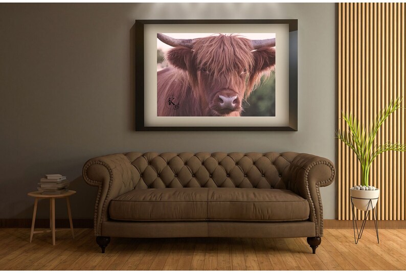 Shaggy Rust Colored Horned Cow, Farmhouse Wall Art, Digital Download ...