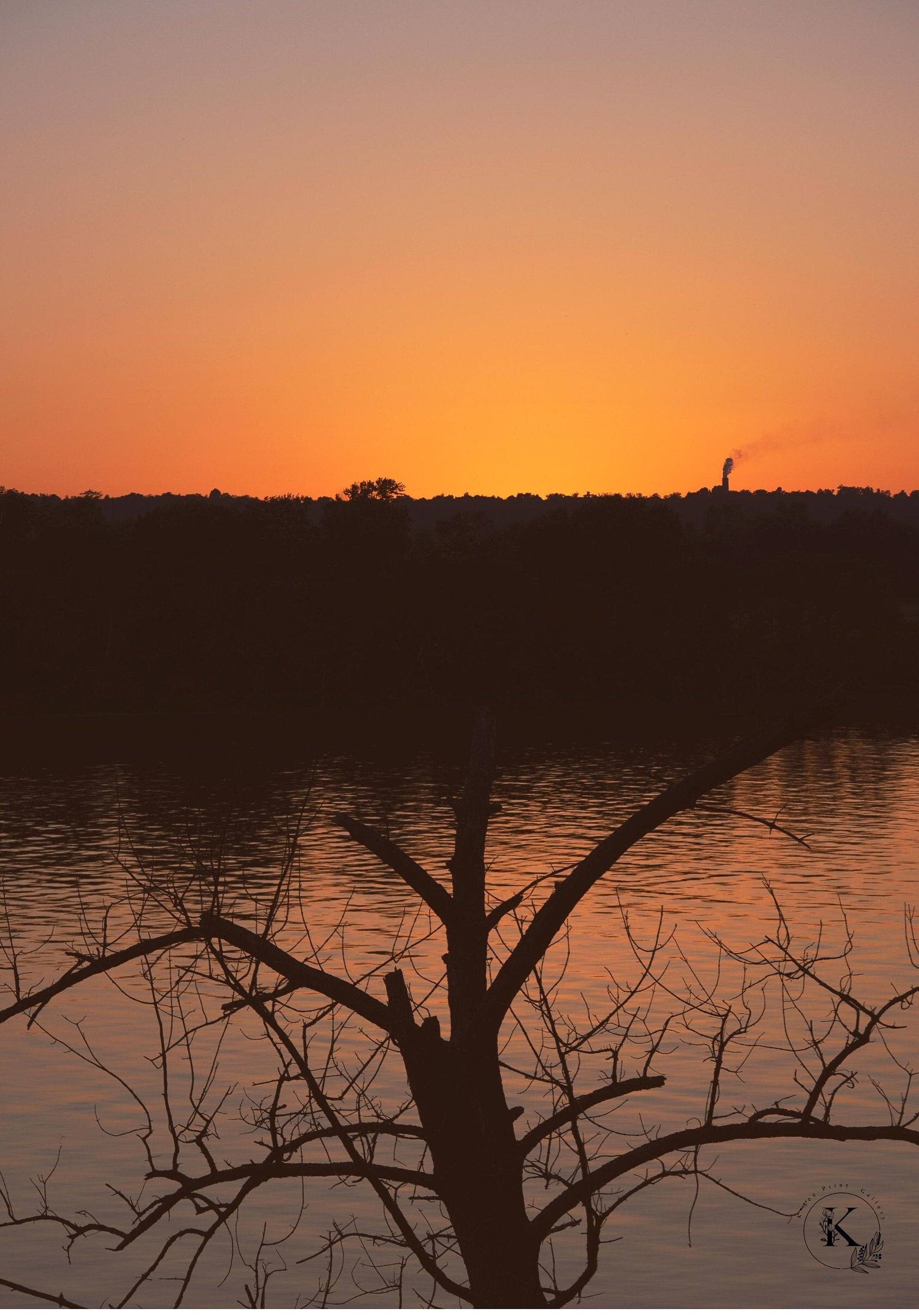 Sunset Tree, Sunset Photo, Water Sunset, Sunset Landscape Photo, Nature ...