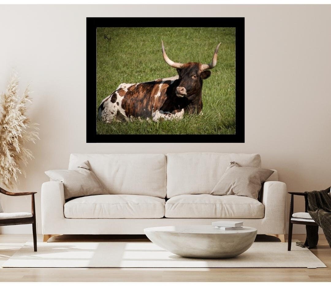 Brindle Horned Steer, Horned Cow Photo, Farmhouse Decor, Country Wall ...