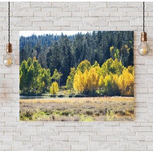 Dixie National Forest Duck Creek Utah Landscape Photograph - Etsy