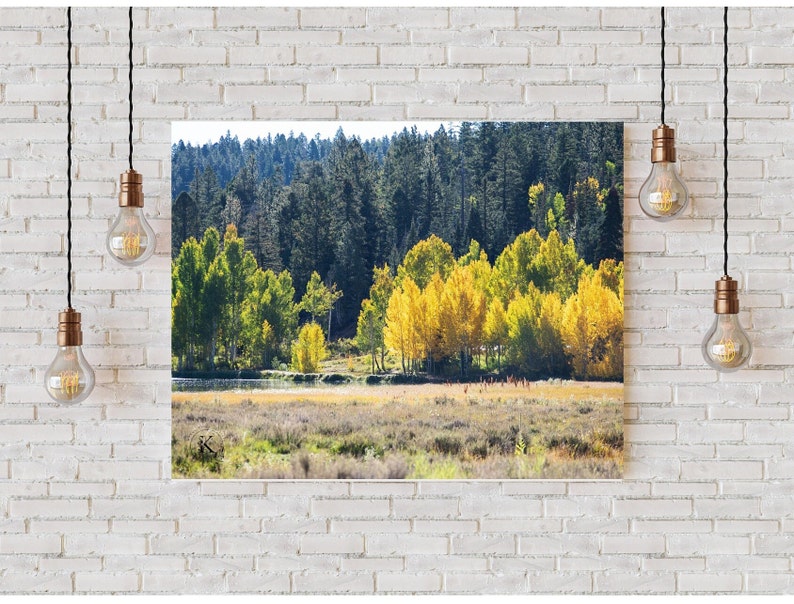 Dixie National Forest Duck Creek Utah Landscape Photograph - Etsy