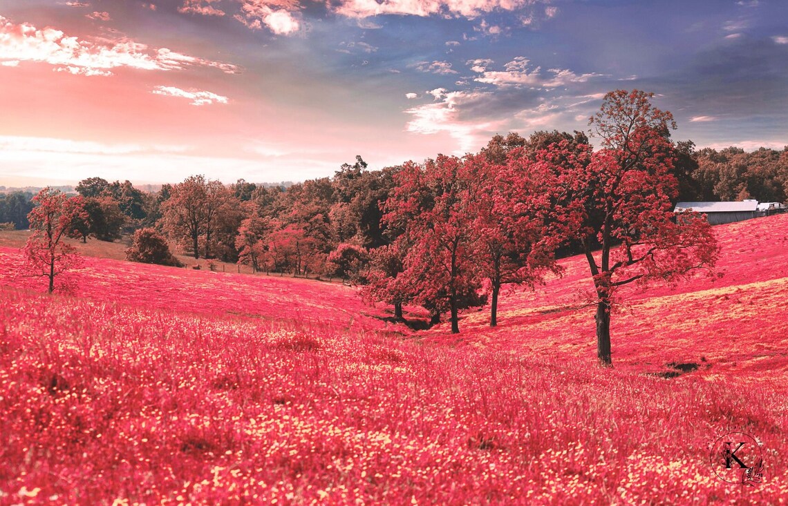 Vibrant Red Landscape, Art Print, Landscape Photo, Nature Photograph ...