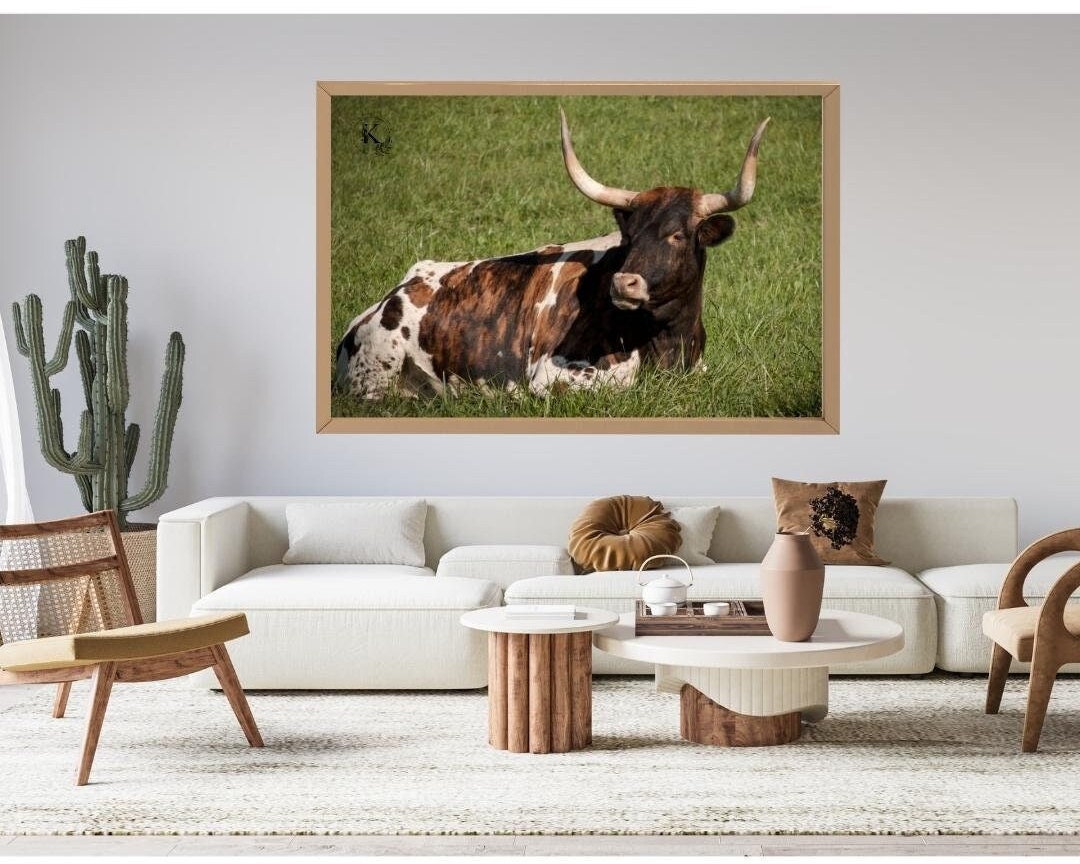 Brindle Horned Steer, Horned Cow Photo, Farmhouse Decor, Country Wall ...