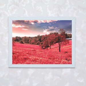 Vibrant Red Landscape, Art Print, Landscape Photo, Nature Photograph ...