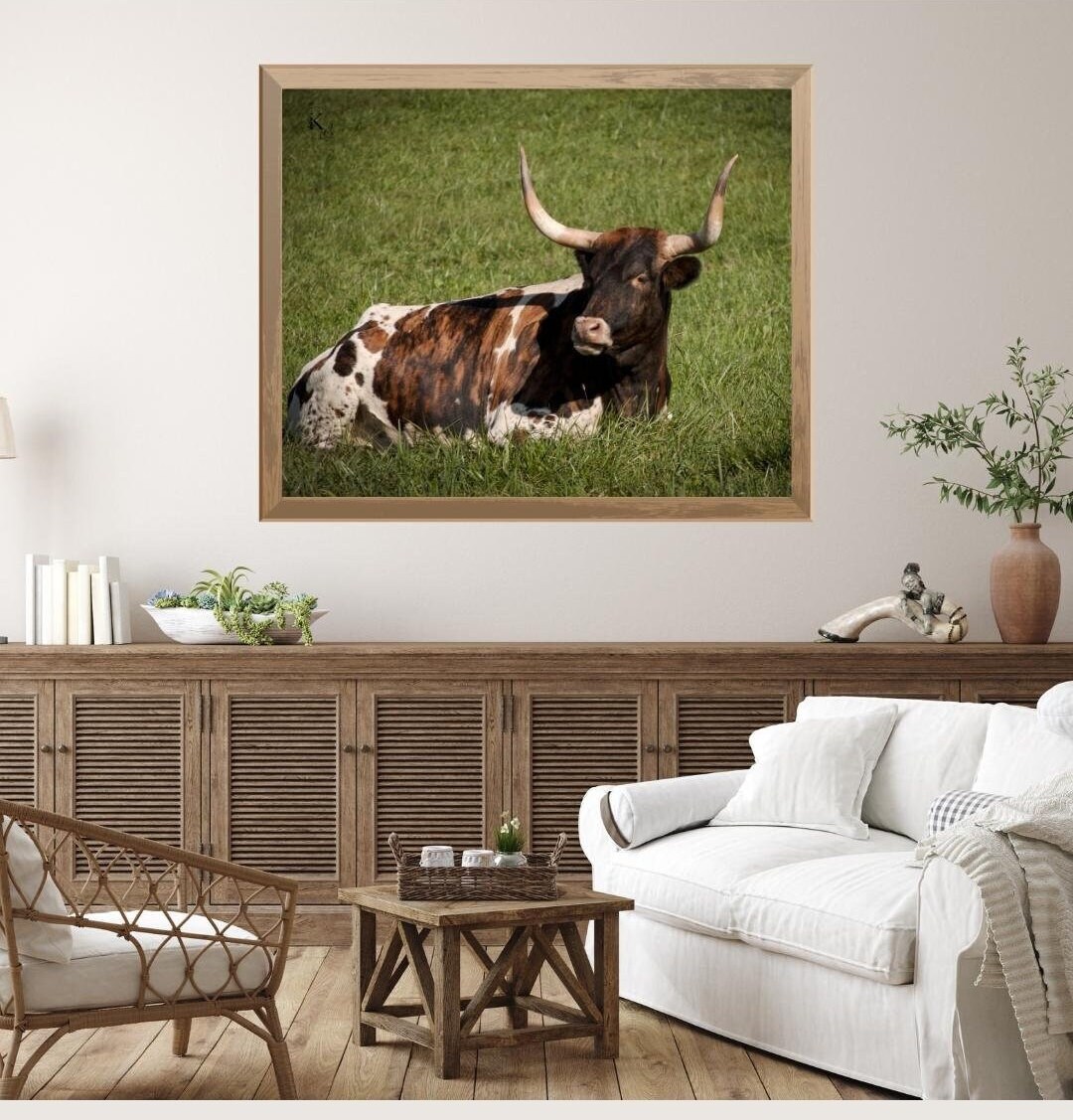 Brindle Horned Steer, Horned Cow Photo, Farmhouse Decor, Country Wall ...