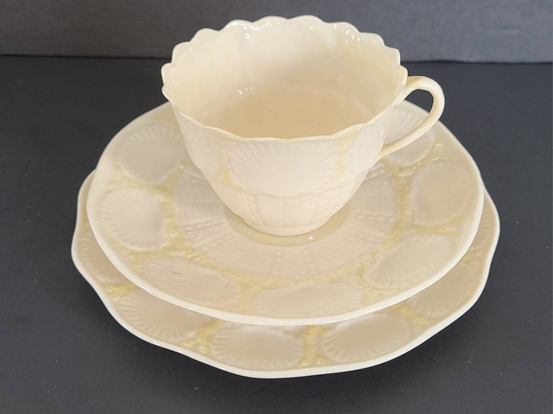 Belleek Shell Teacup and Saucer Set - Etsy