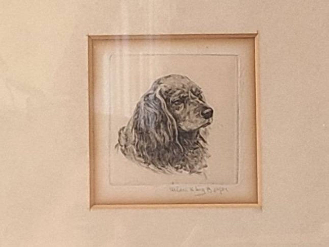 Helen King Boyer Cocker Spaniel Etching Signed - Etsy