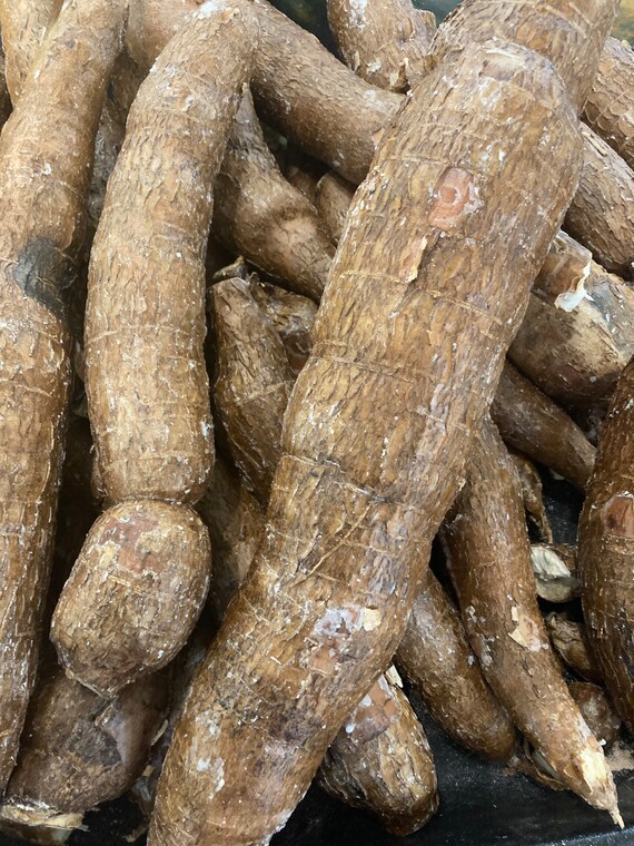 Cassava Akpu Yucca Approximately 7 Pounds - Etsy