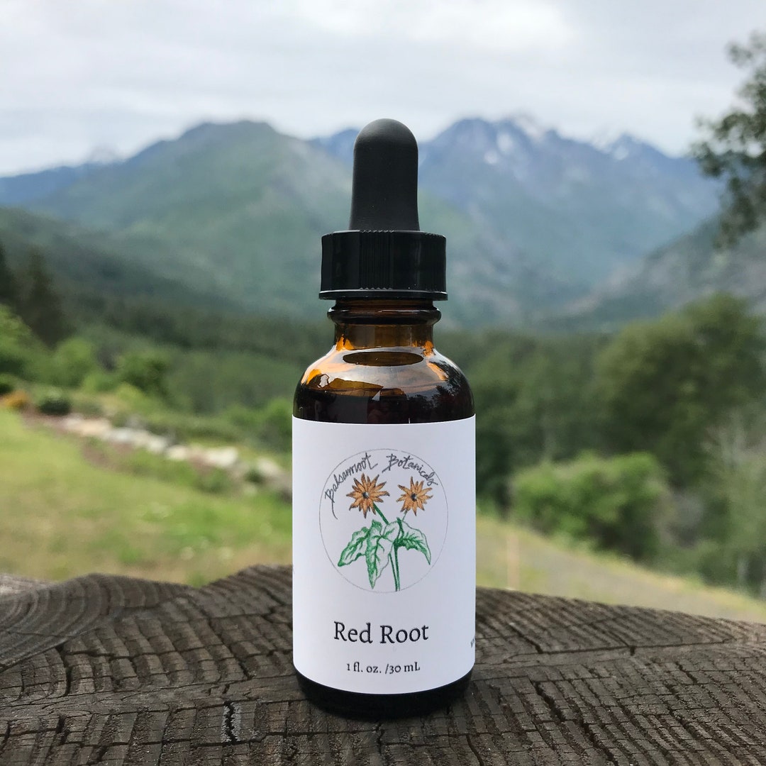 Red Root Tincture - Etsy