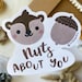Nuts About You Sticker, Nuts Pun Sticker, Appreciation Gift ...