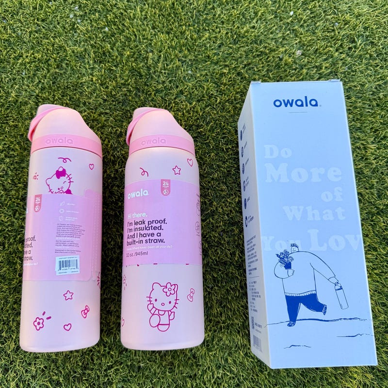 Owala Water Bottle Snoopy - Etsy