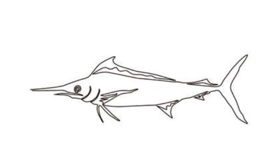 Sailfish Continuous Line Art Drawing Style. Minimalist Black Marlin ...
