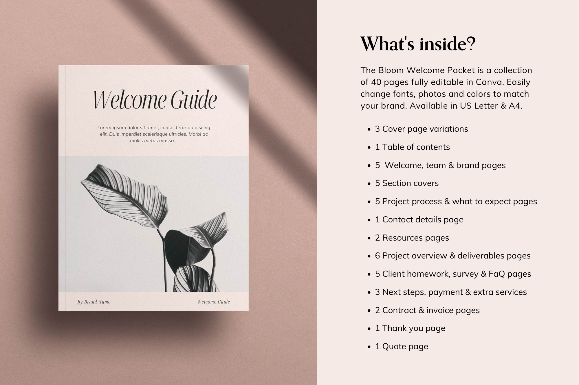 Client Welcome Packet Template Aesthetic Canva Template New - Etsy