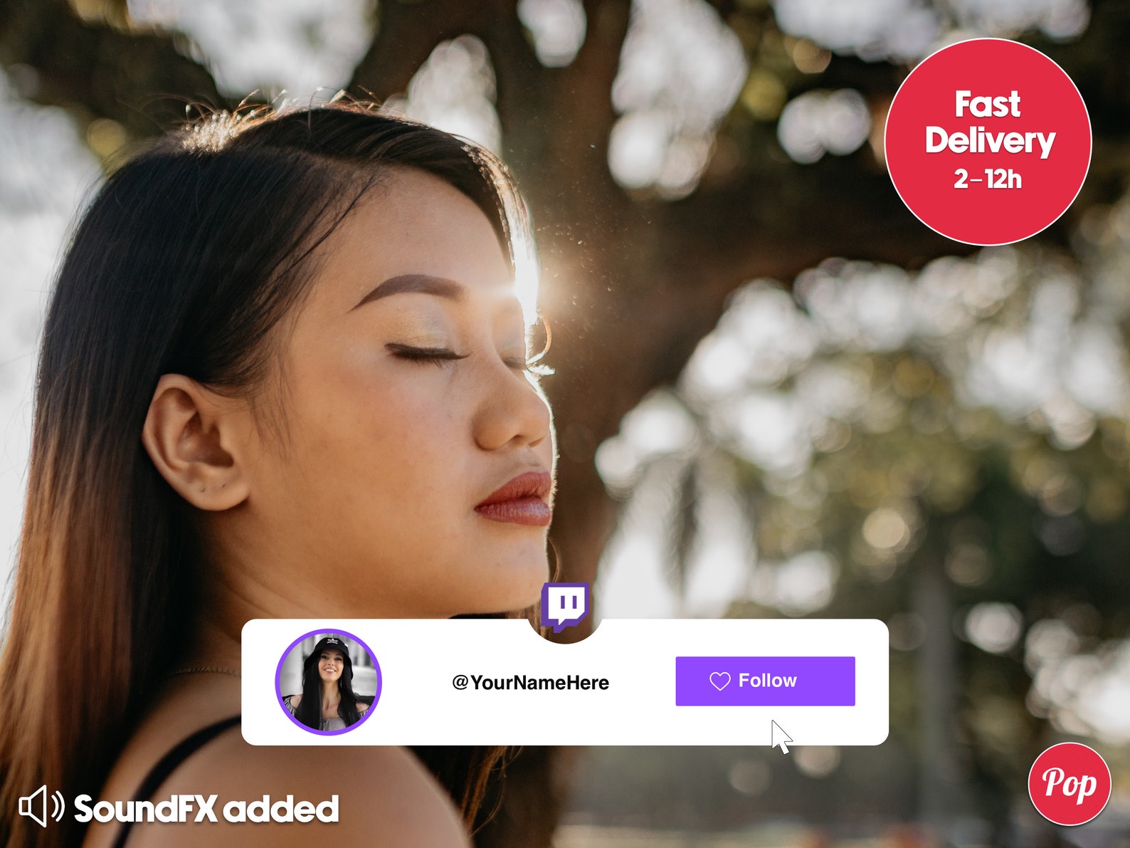 Custom Animated Twitch Follow Button Overlay for Stream Overlays Intro ...