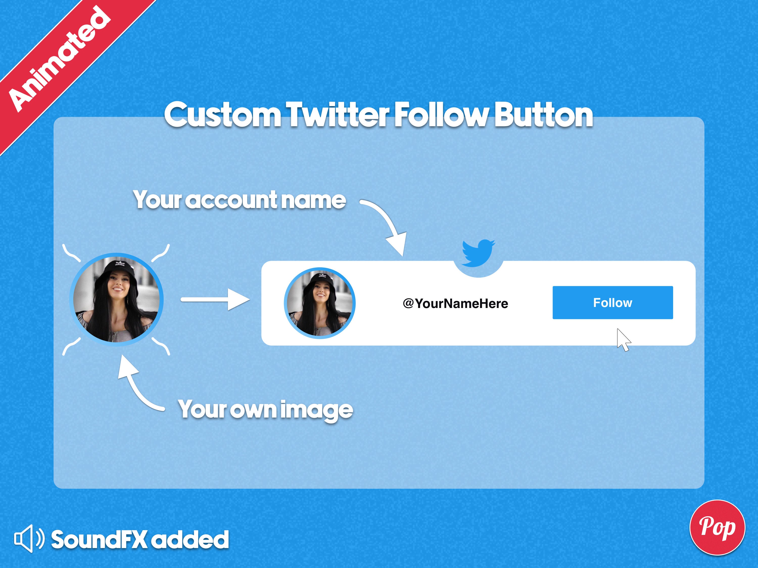 Official Twitter Follow Button