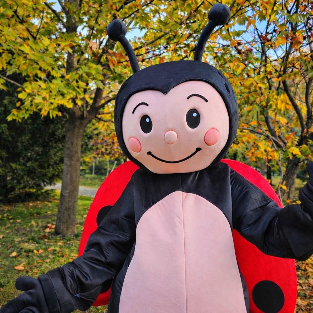 Ladybug Mascot Costume – Adult Size, Party & Event Character - Etsy