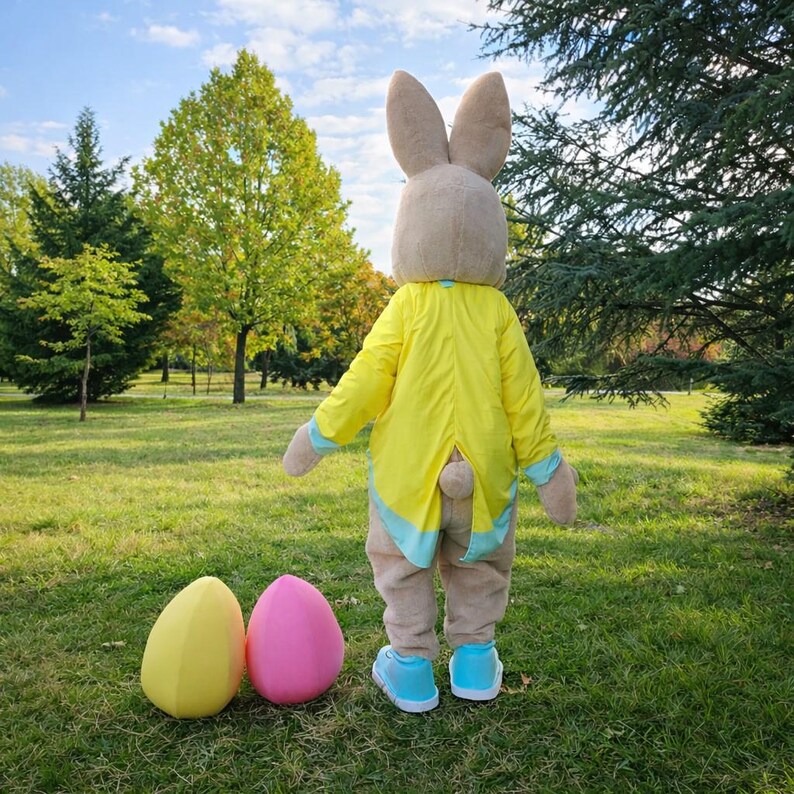 Handmade Easter Bunny Mascot Costume – Cartoon Rabbit Character, Adult ...