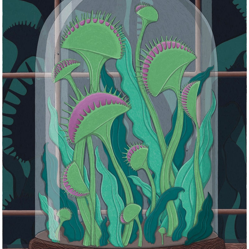 Venus Fly Trap Paintings - Etsy UK