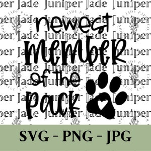 Newest Member of the Pack Svg Instant Digital Download Svg, Png, and ...